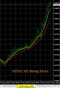 NZD/CAD Buy Signal - Forex Blog